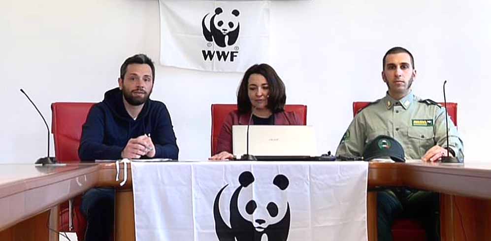 Il WWF Abruzzo presenta la campagna contro la caccia di selezione a ...